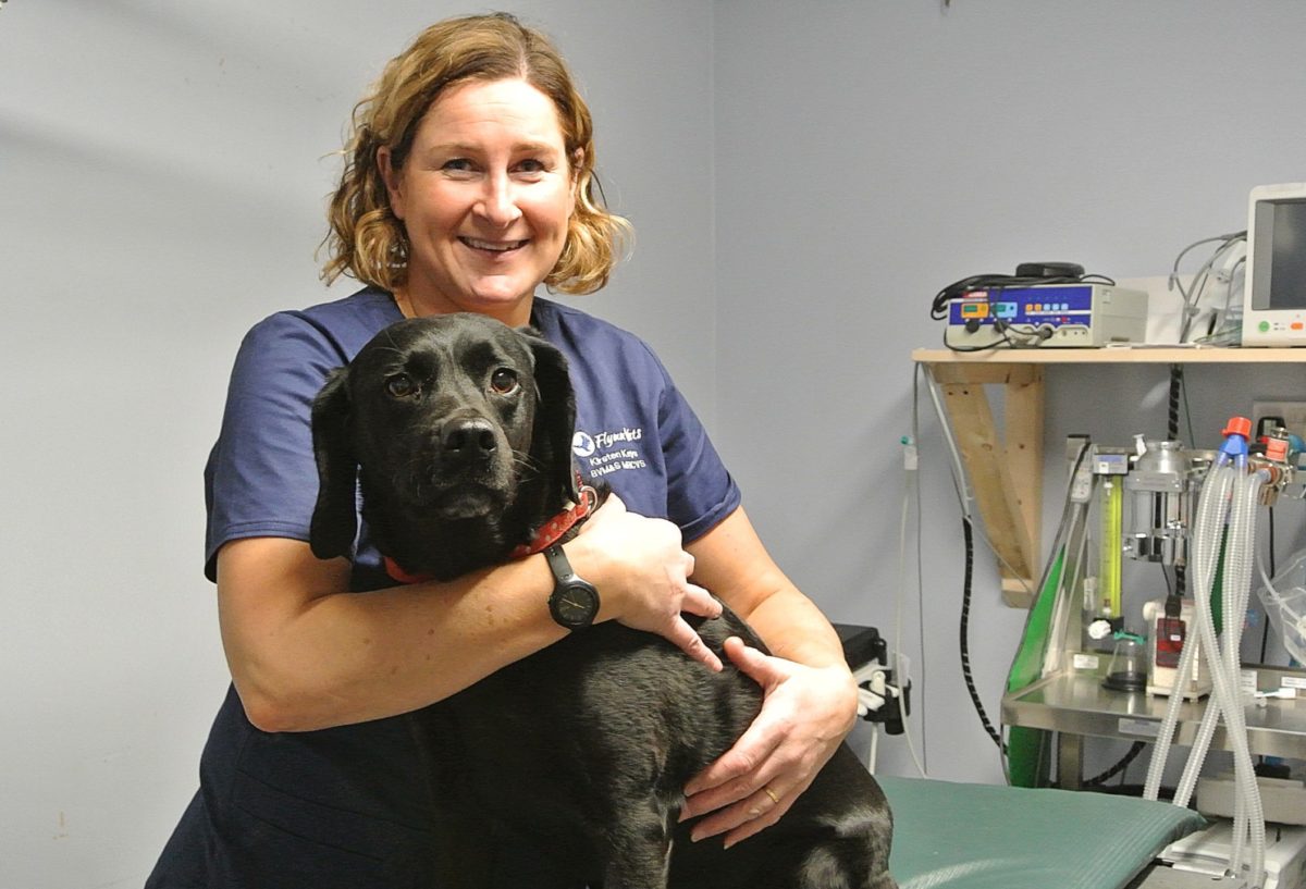 Our Team - Flynn Veterinary Centres